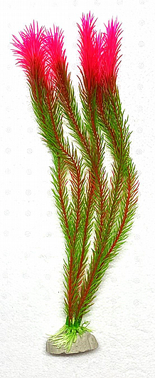 צמח פלסטיק גובה 40 ס''מ צבעוני 076A